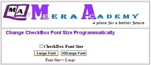 Change CheckBox Font Size Programmatically in ASP.Net C#