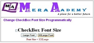 Change CheckBox Font Size Programmatically in ASP.Net C#