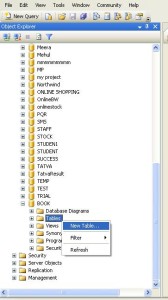 Connection Between ASP.Net and SQL-Server using SQLCommand