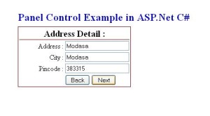 How to use Panel Control in ASP.Net C#