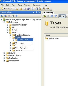 Databse Connection in Windows Application with ms sql server C#