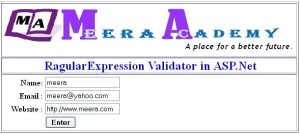 How to use RegularExpression Validator in ASP.Net.