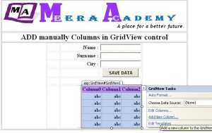 How to ADD manually Columns in GridView control in asp.net.