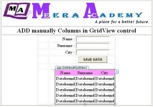 How to ADD manually Columns in GridView control in asp.net.