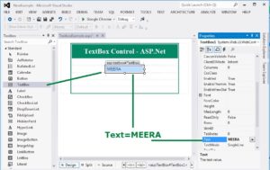 TextBox Control - ASP.Net Server Control