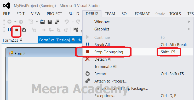 How to Run C# Windows Form Application in Visual Studio.